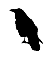 A Synergistic Approach to Cryogenic Innovation: Raven Research – Raven ...